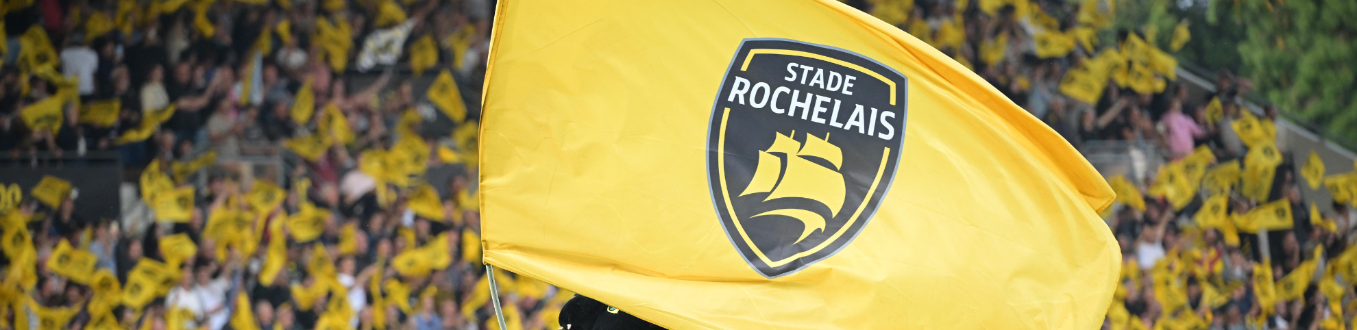 Stade Rochelais | Top 14 - Site Officiel
